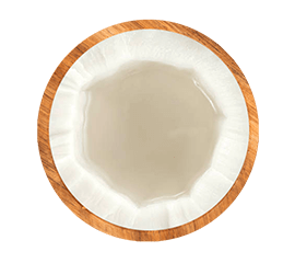 Industrial Bulk Coconut Products - Axelum