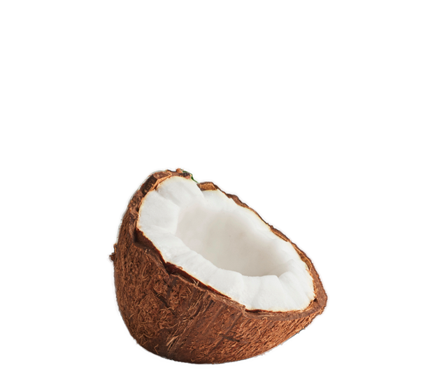 Axelum - Leading Coconut Products Manufacturer